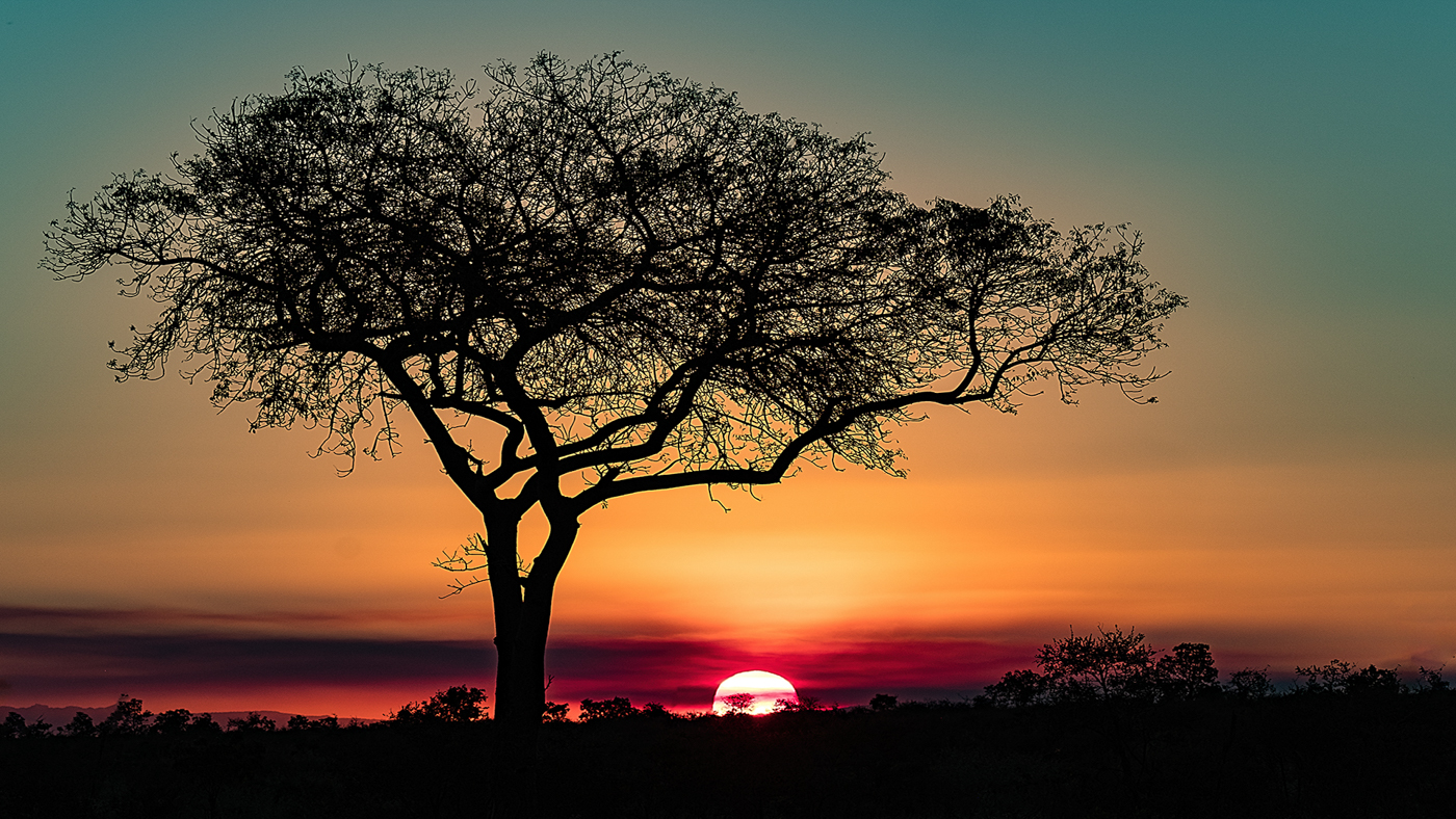African Sunset