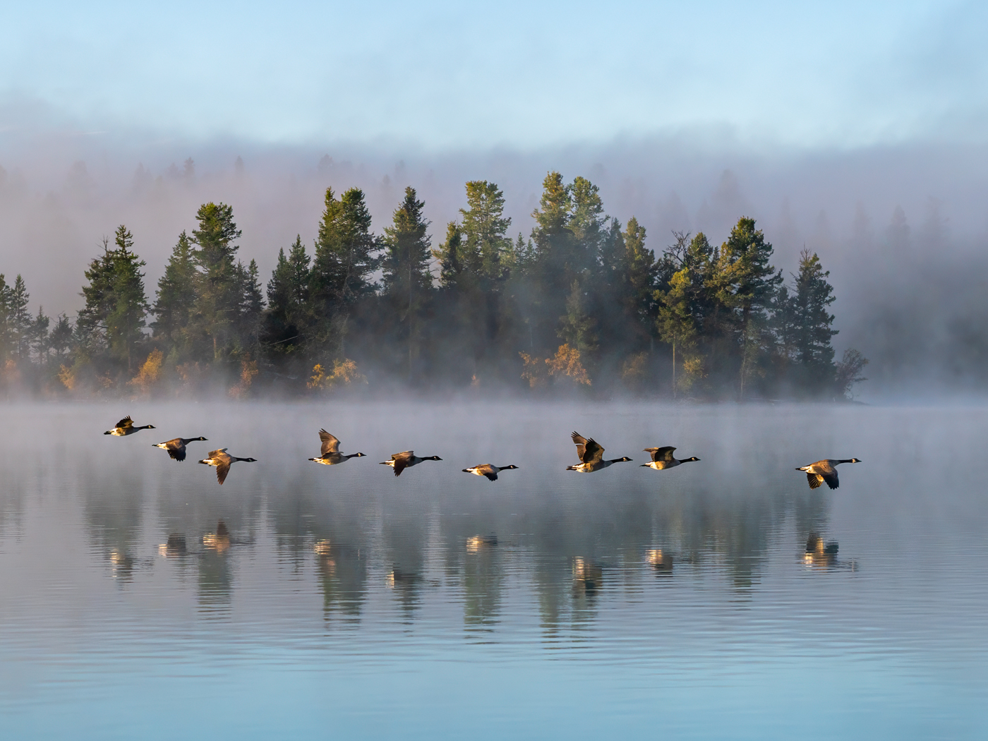 Robyn Cowan - On the Move - North Shore Photographic Society